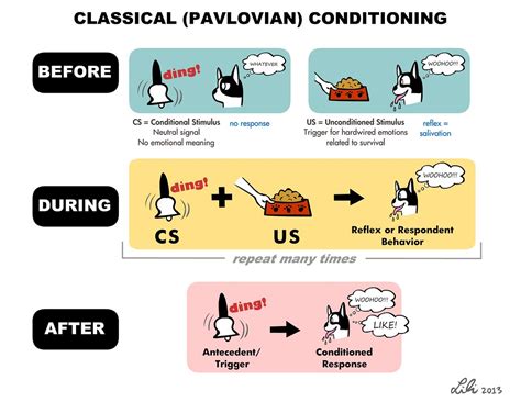 Classical Conditioning Humans