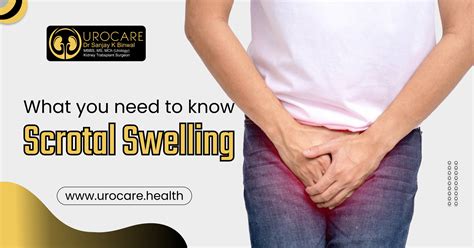Know About Scrotal Swelling Causes Symptoms And Treatments