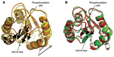 Molecular Dynamics Simulation Data Download Scientific Diagram