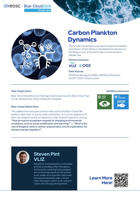 Carbon Plankton Dynamics Blue Cloud 2026