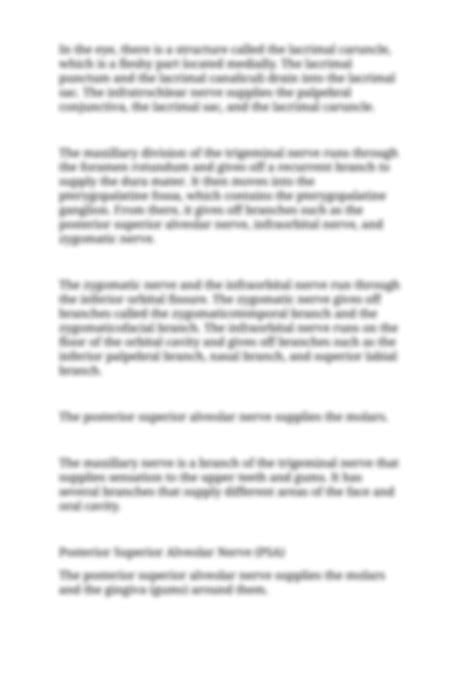 Solution Trigeminal Nerve Anatomy Studypool