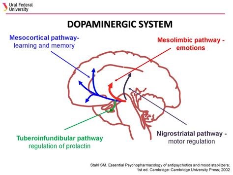 Neurotransmitter Systems презентация онлайн