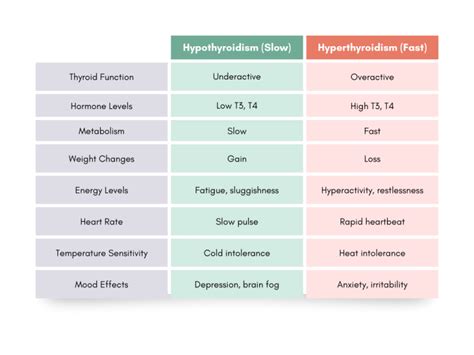 The Differences Between Hypothyroidism And Hyperthyroidism
