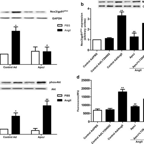 Signaling Pathway Diagram Of Apoj Action In Nrvcs 1 In Control Download Scientific Diagram