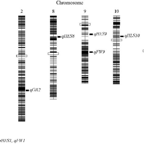 Physical Map Of Single Nucleotide Polymorphism Markers Derived From Download Scientific Diagram