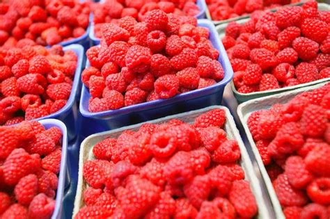 How To Use Sorteddictionary Sortedlist And Sortedset In C Infoworld