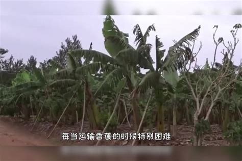 我国淘汰自行车成非洲国家捞金神器，一趟400斤，全靠它赚钱 神器 自行车 国家