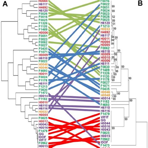 Comparison Of Hierarchical Clustering And Phylogenetic Tree Of A