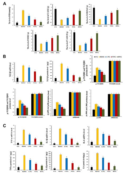 Oxidative Stress And Inflammatory Response In Mac T Cells Proteins