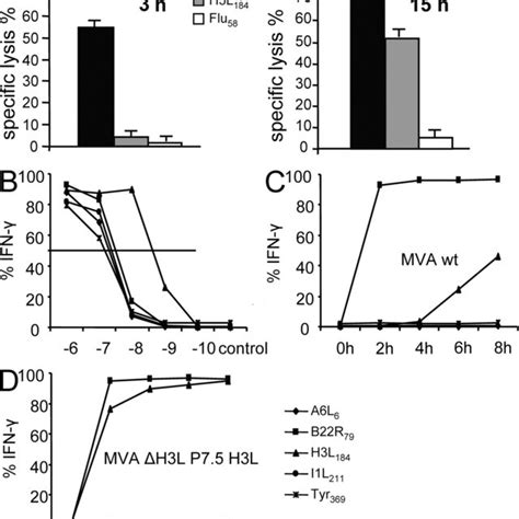 Antigen Presentation Of Late Viral Proteins Is Delayed Specific ⁵¹cr