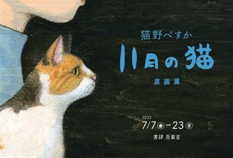 七夕から猫野ペすかさん個展です 猫本専門書店 書肆 吾輩堂