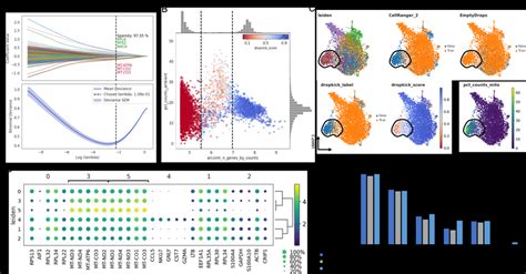Dropkick Recovers Expected Cell Populations And Eliminates Low Quality