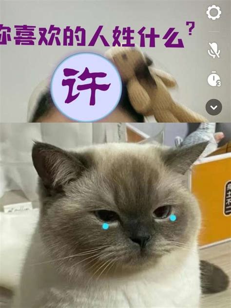 小乔好困 的想法 小乔我走了 你不要去摸人家狗 我晚点来 知乎