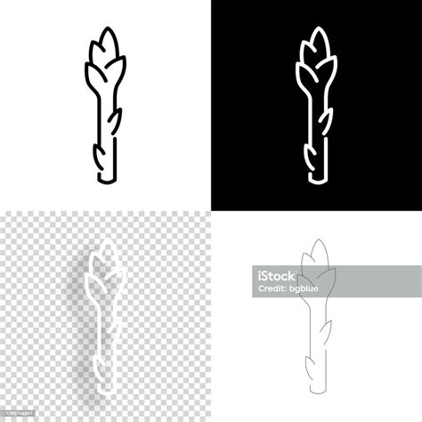 아스파라거스 디자인 아이콘입니다 빈 흰색 및 검은색 배경 선 아이콘 아스파라거스에 대한 스톡 벡터 아트 및 기타 이미지 아스파라거스 개념 건강한 식생활 Istock