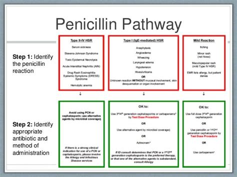 Wustl Penicillin Allergy Qi Pathway