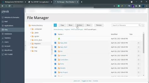 How To Deploy Asp Net Mvc Project To Plesk Deploy Net Website To Plesk Youtube