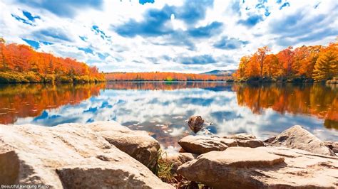 마음을 편안하게 해주는 음악 치유명상음악 아침음악 광고없음 아침 잔잔한 음악 Youtube Music