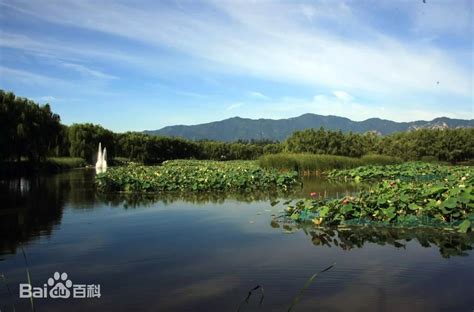 什么是 生态修复” 绿色矿山网绿色矿山建设专业服务门户网站