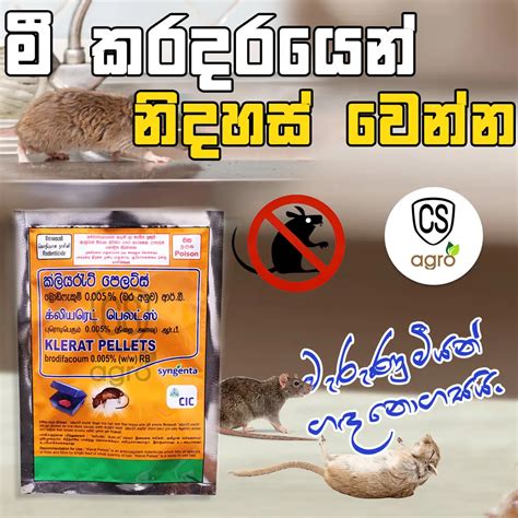 Klerat Wax Blocks Rat Killer Indoor Home Darazlk