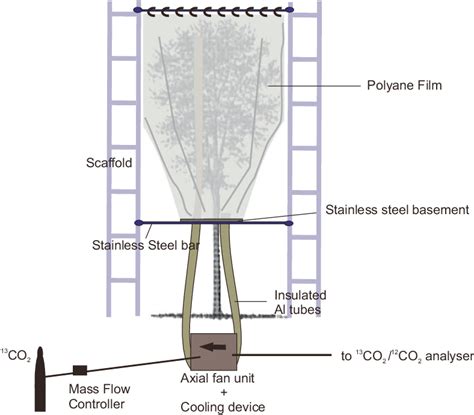Figure 1 From Tracing Of Recently Assimilated Carbon In Respiration At