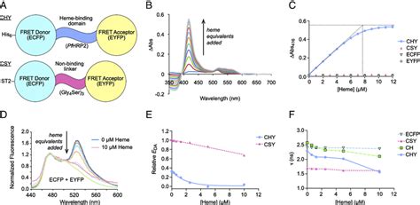 Design And Characterization Of The Initial Heme Biosensor A Download Scientific Diagram