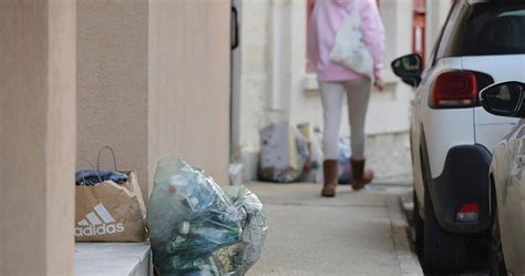 Recycling Sex Toys And Dead Animals Among Items In Grey Bags
