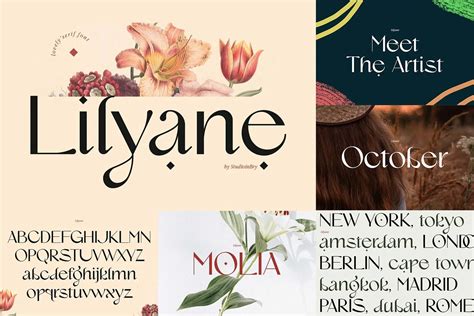 Modern Font Bundle Youworkforthem