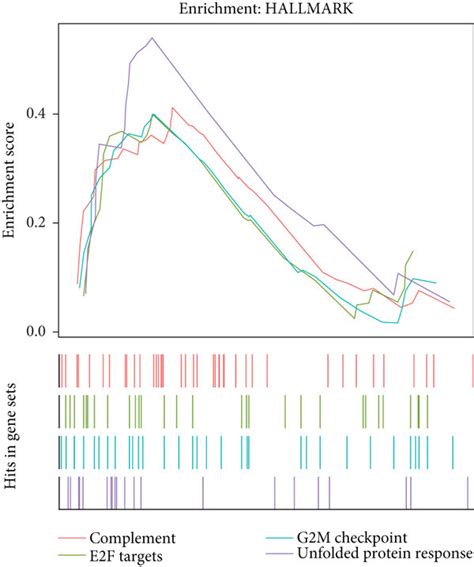 Construction Of The 8 Gene Based Signature A Cross Validation For