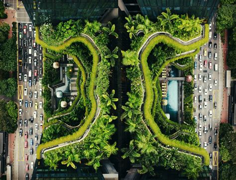 Urban Ecosystems Enhancing Biodiversity In Cities
