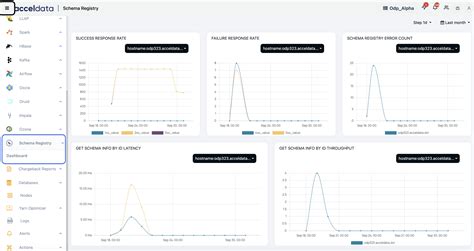 Schema Registry Acceldata