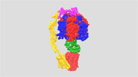 Atp Synthase Download Free 3d Model By Vera4art Elvera Viljoen
