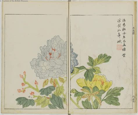 Ehon Database