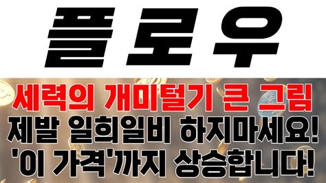 플로우 플로우코인플로우코인전망플로우코인분석플로우목표가플로우전망플로우대응플로우호재플로우차트플로우