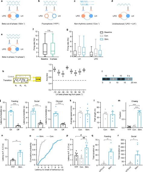 The Dynamic State Of A Prefrontalhypothalamicmidbrain Circuit Commands Behavioral Transitions