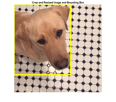 Augment Bounding Boxes For Object Detection Matlab And Simulink