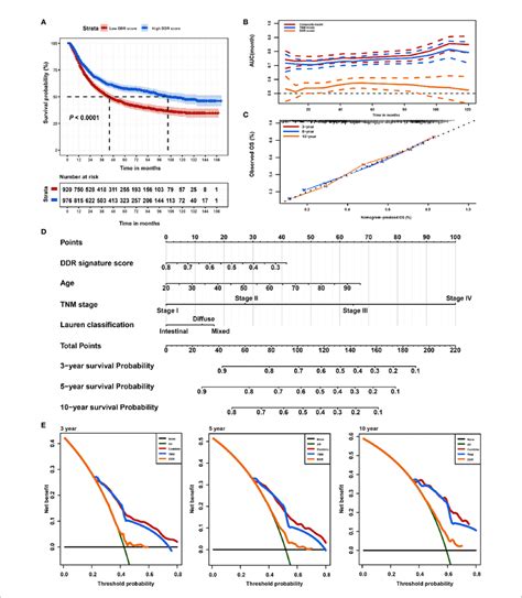 Identification Of Ddr Pathway Signature A Kaplan Meier Overall