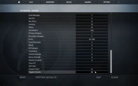 How To Activate And Open The Console In Counter Strike Global Offensive Diary Of Dennis