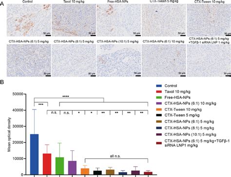 Immunohistochemistry For P Gp Expression In Tumor Tissues A P Gp