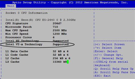 CPU Virtualization Checklist BOOT R