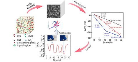 Issue 7 Year 2025 高分子科学（英文）