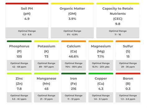 The Best Professional Soil Test Kit The Seasonal Homestead