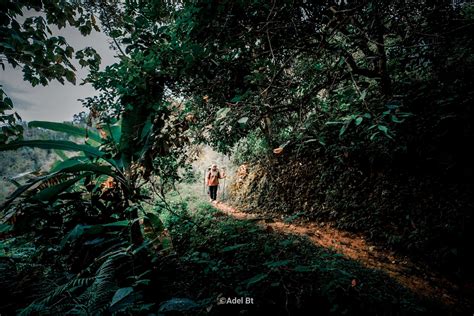 Gunung Gunung Silipat Thailand ฆูนุงซีลีปัต ประเทศไทย