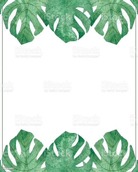 수채화 손 그린 열대 식물 배너 프레임 녹색 야자 수 잎 꽃다발과 텍스트 에 대한 공간이있는 인사말 카드를 흰색 배경에 경계 선 구성 0명에 대한 스톡 벡터 아트 및 기타