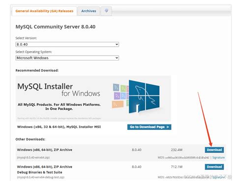 Mysql保姆级安装教程自定义安装路径mysql自定义安装路径 Csdn博客