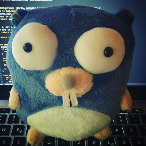 Learn Golang With Drew Zero To Gopher Codingwithdrew