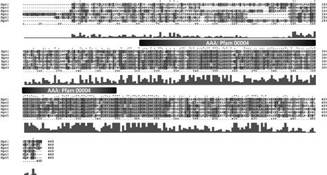 Clustalx 20 Multiple Alignment Of Predicted Amino Acid Sequences Of
