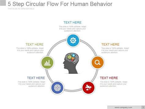 Step Circular Flow For Human Behavior Ppt PowerPoint Presentation Diagrams
