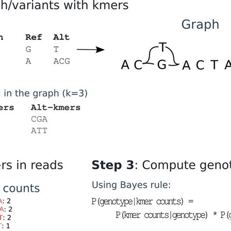 Overview Of A Typical Alignment Free Genotyping Approach First Kmers Download Scientific