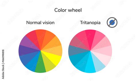 Vector Illustration Infographics Color Wheel Palette Normal Vision