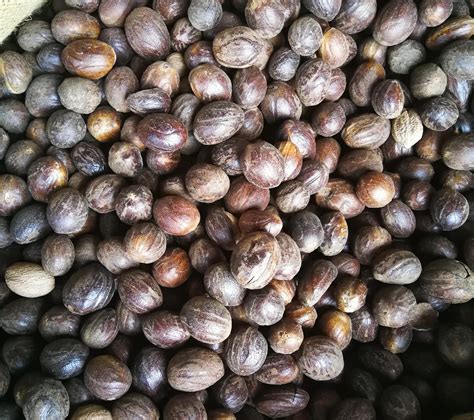 香果草果 香砂 香料 第8页 大山谷图库